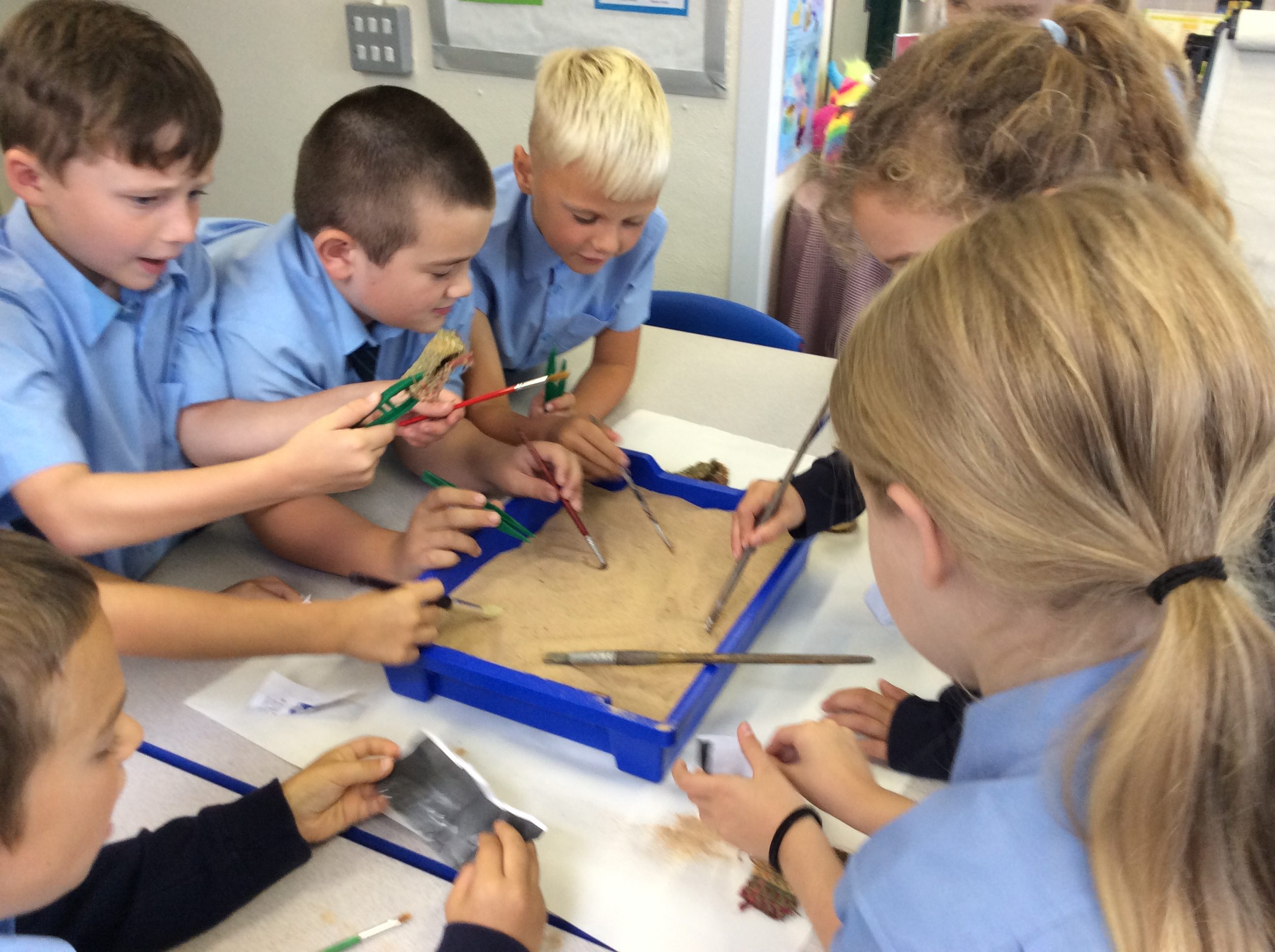 TMS Archeological Dig - Threemilestone Primary School