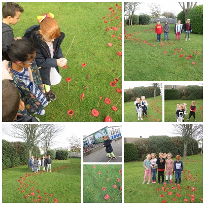 Year 1 - Poppies - Threemilestone Primary School