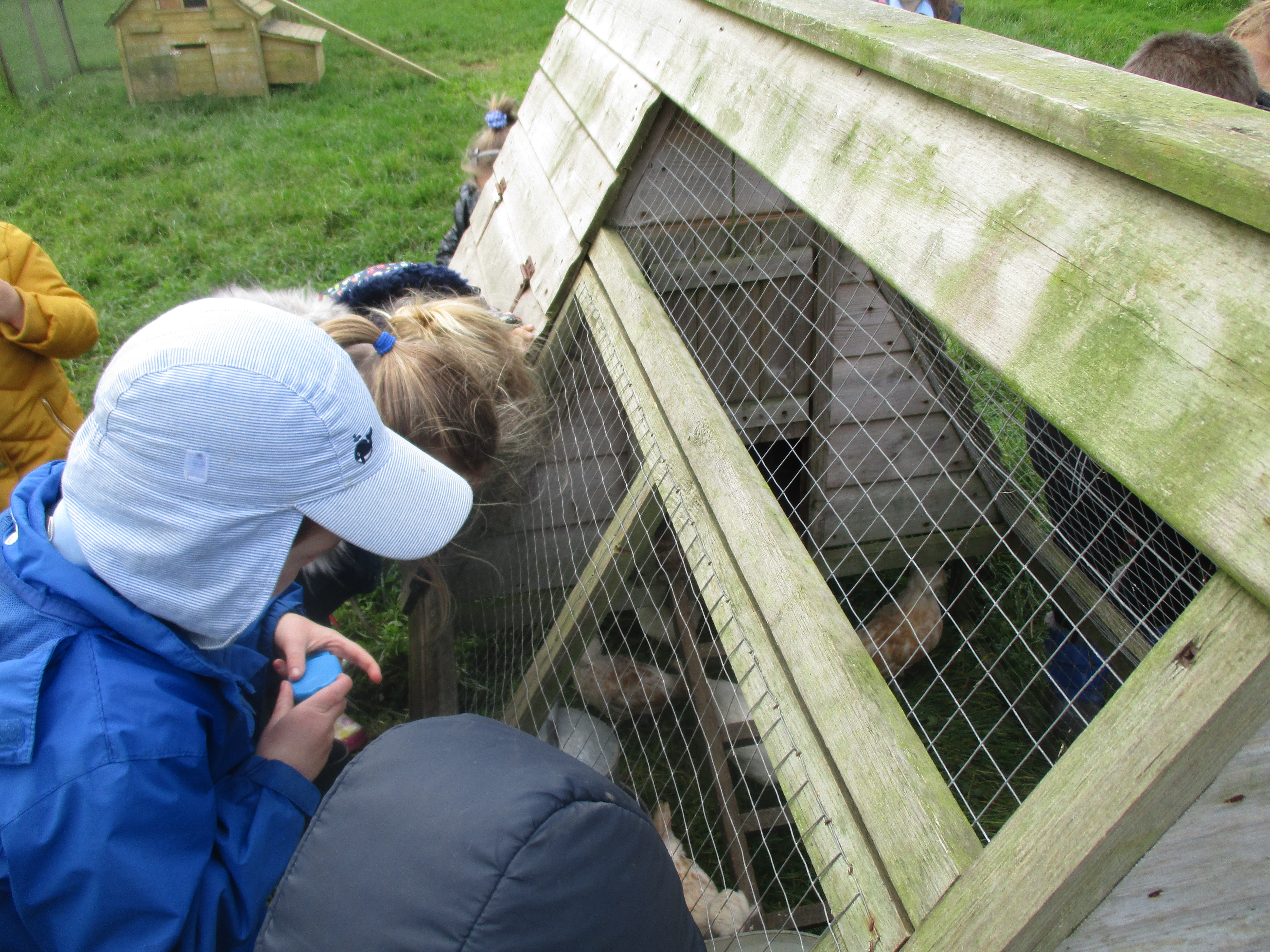 Year 1 Trevaskis Farm - Threemilestone Primary School