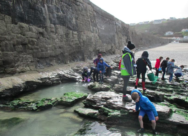 Y4 visit Portreath - Threemilestone Primary School