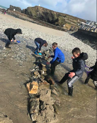 Y4 visit Portreath - Threemilestone Primary School