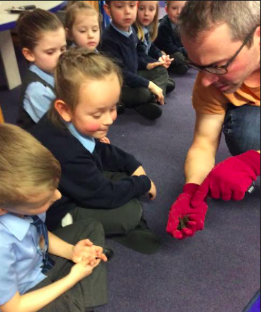 EYFS bat visit! - Threemilestone Primary School