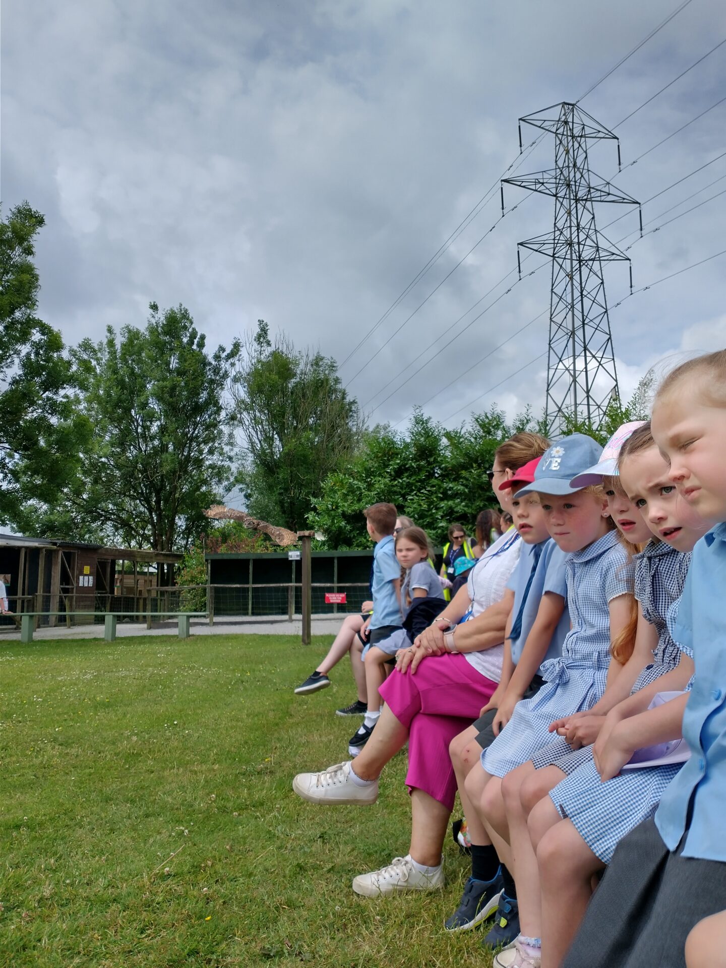 Year 1 - Screech Owl Sanctuary - Threemilestone Primary School