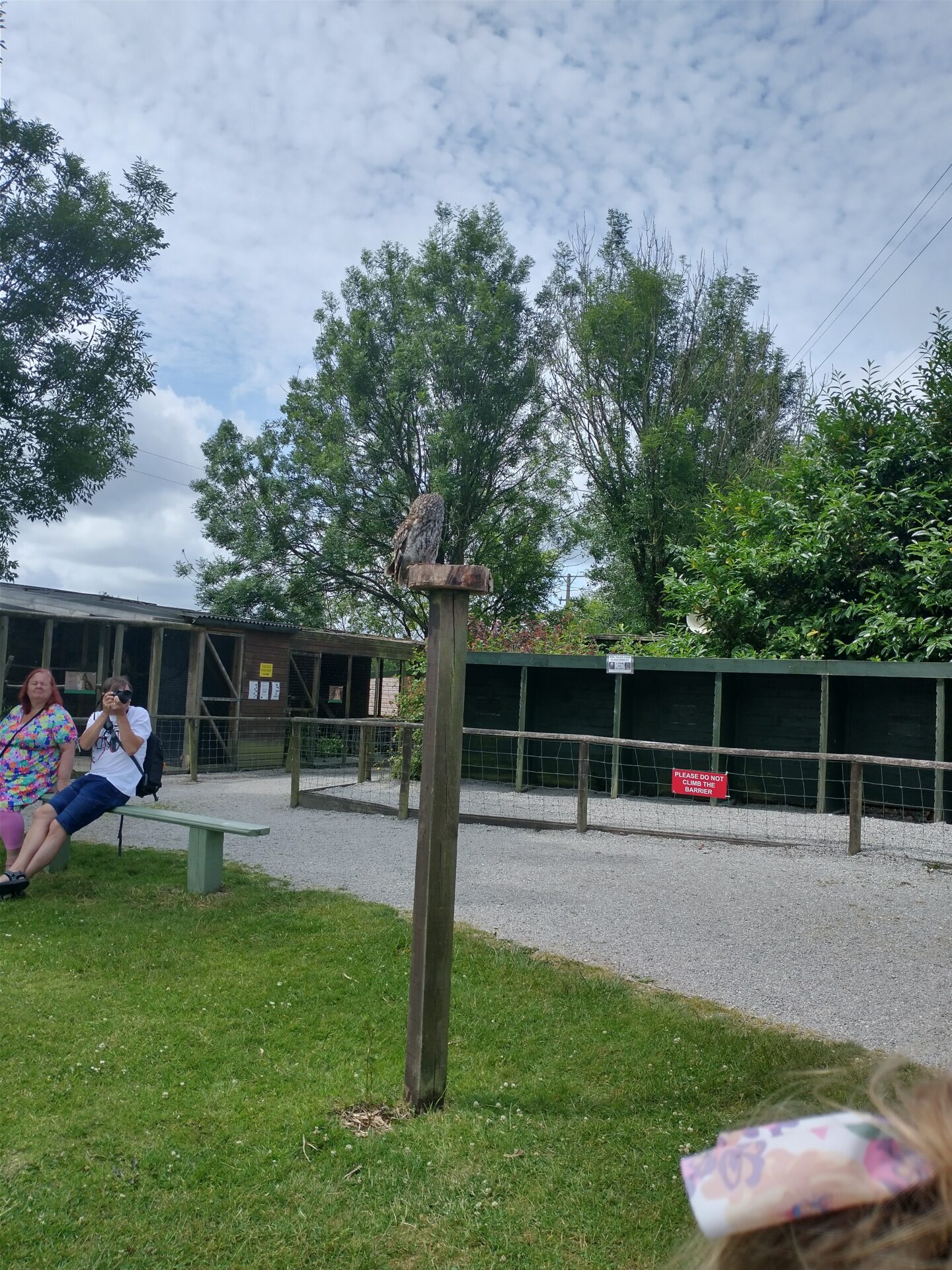 Year 1 - Screech Owl Sanctuary - Threemilestone Primary School