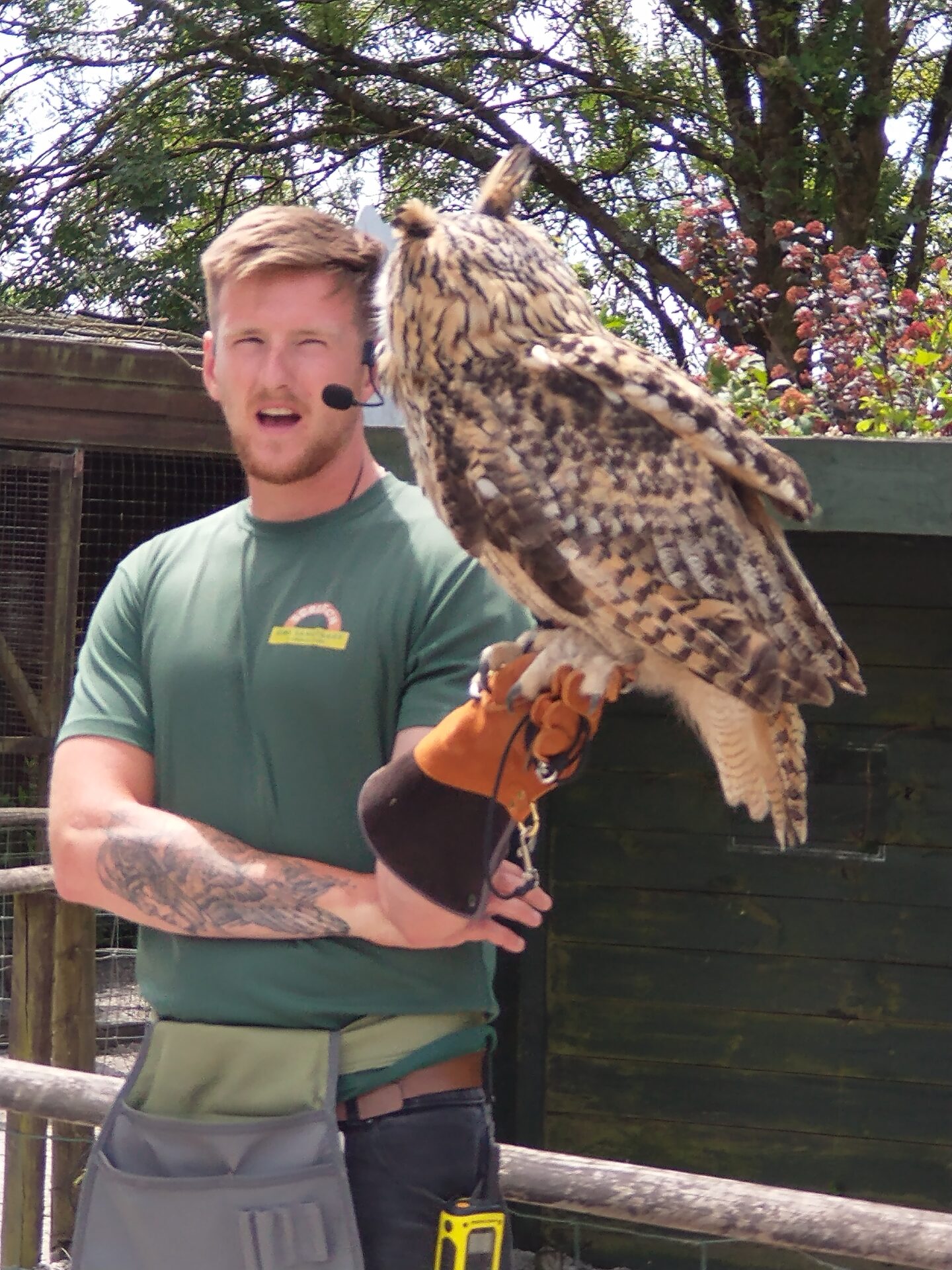 Year 1 - Screech Owl Sanctuary - Threemilestone Primary School