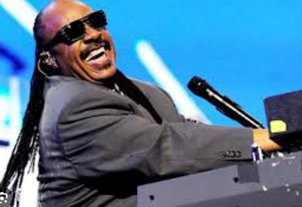 Musician of the Month – October– Stevie Wonder - Threemilestone Primary ...